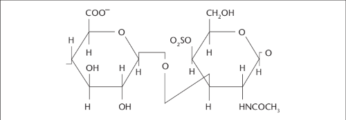 Substances and Supplements for Joint Health